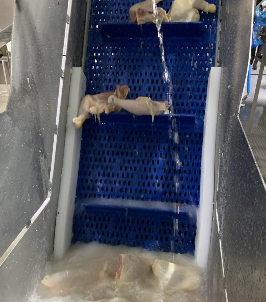 Solution Spotlight | Dip Tank Poultry Belt - MIR